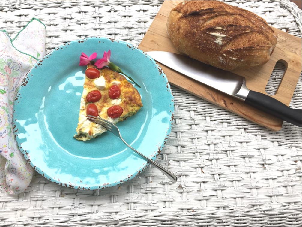 donna's daily dish